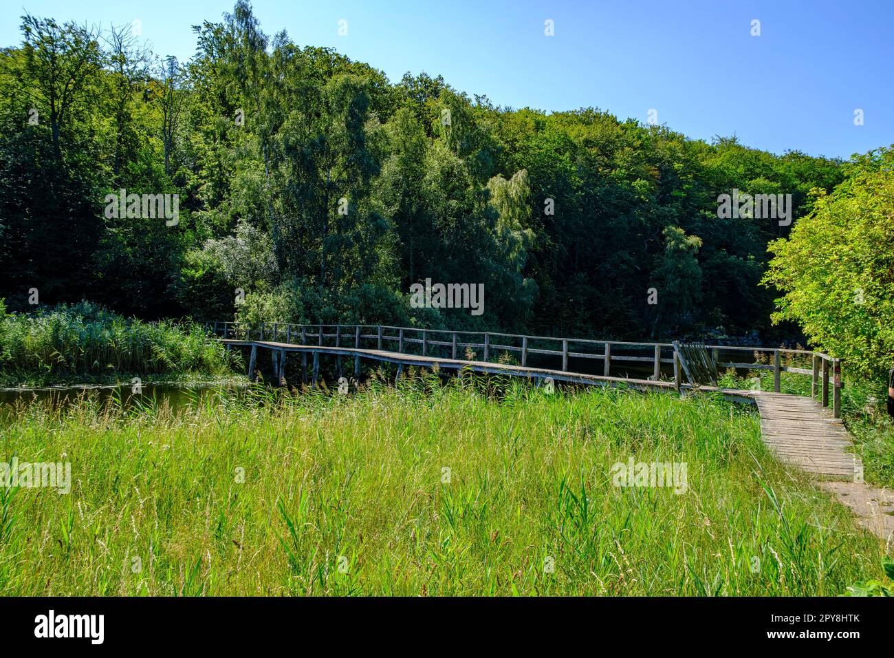Hiking path and narrow wooden bridge over Lake Pølsesø in the forest ...