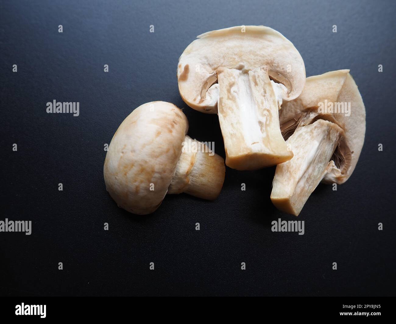 Champignons hi-res stock photography and images - Alamy