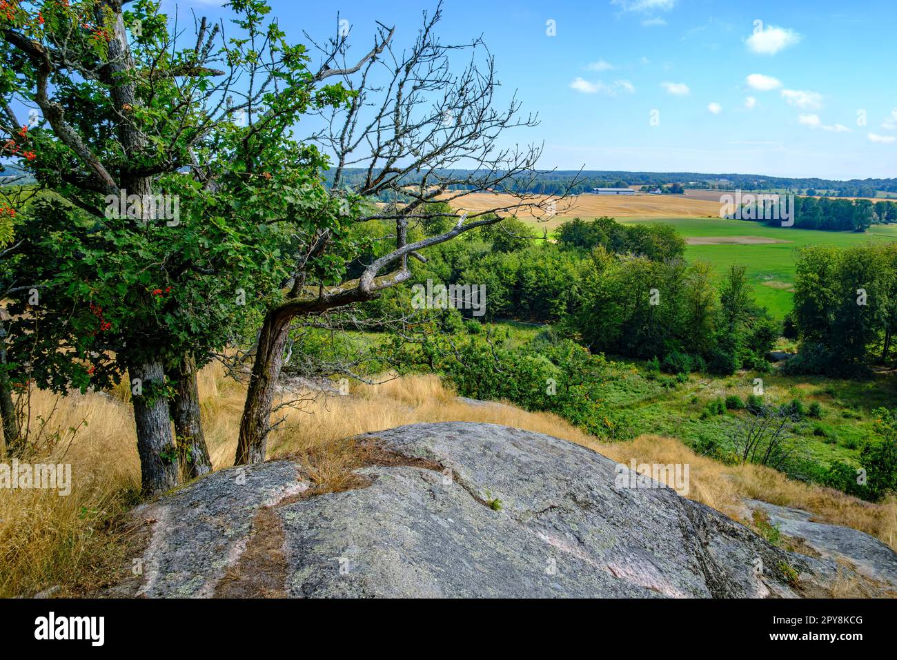 Dronningestenen hi-res stock photography and images - Alamy