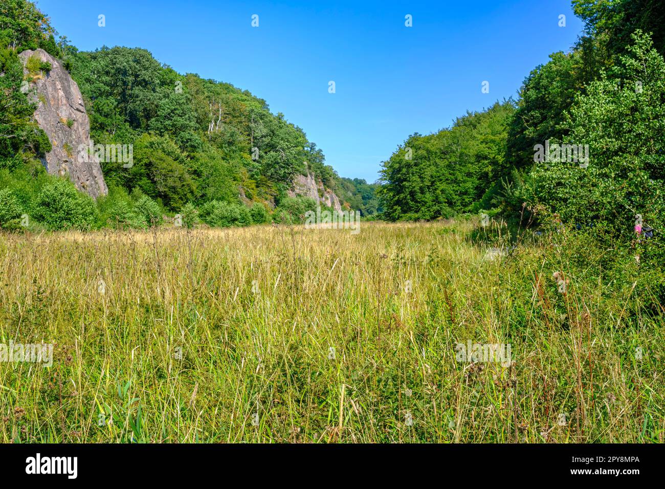 Ekkodalen, English Echo Valley, known for its echo, in the forest area ...