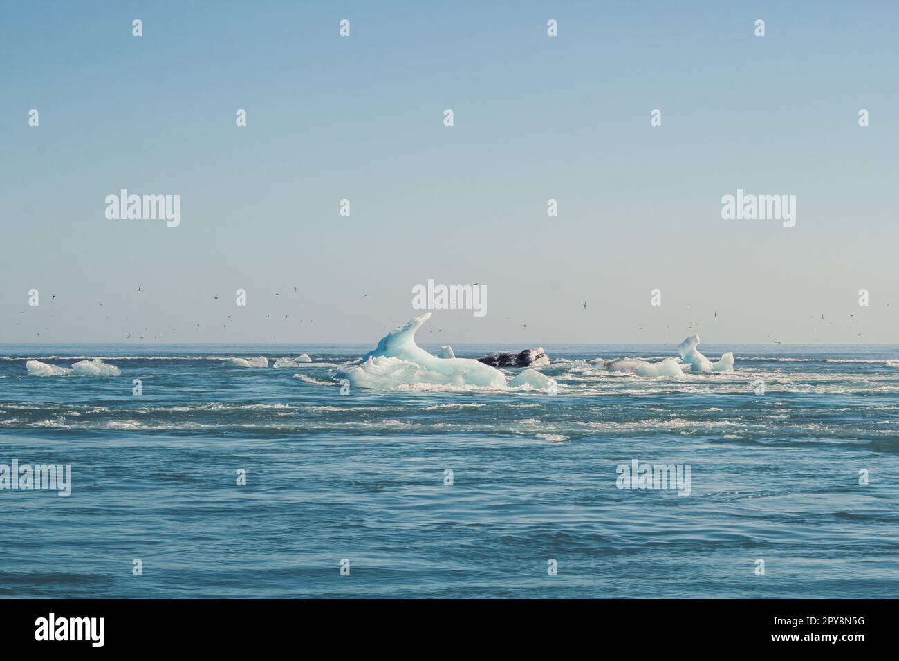 Icebergs floating in sea landscape photo Stock Photo - Alamy