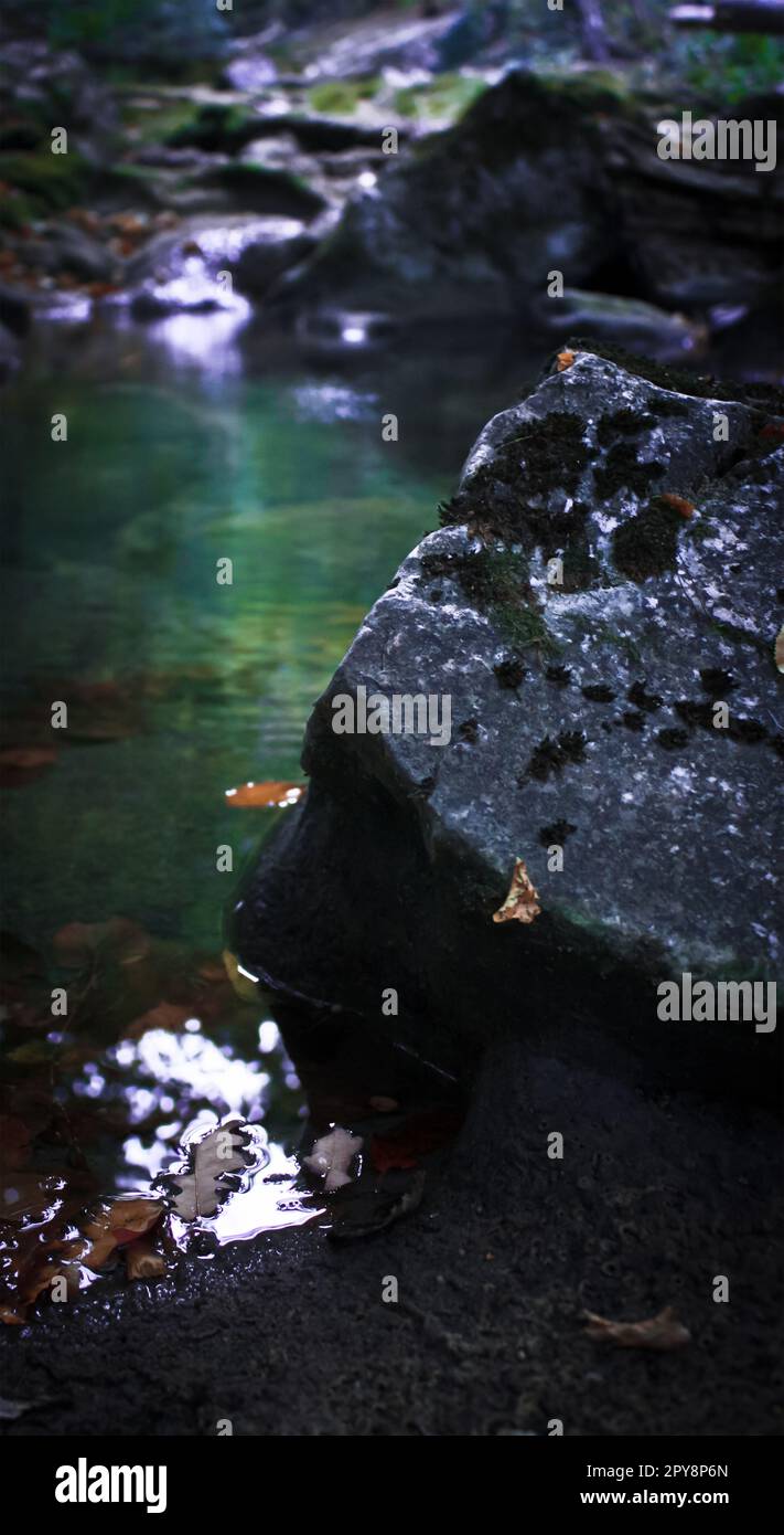 Riverbank background hi-res stock photography and images - Alamy