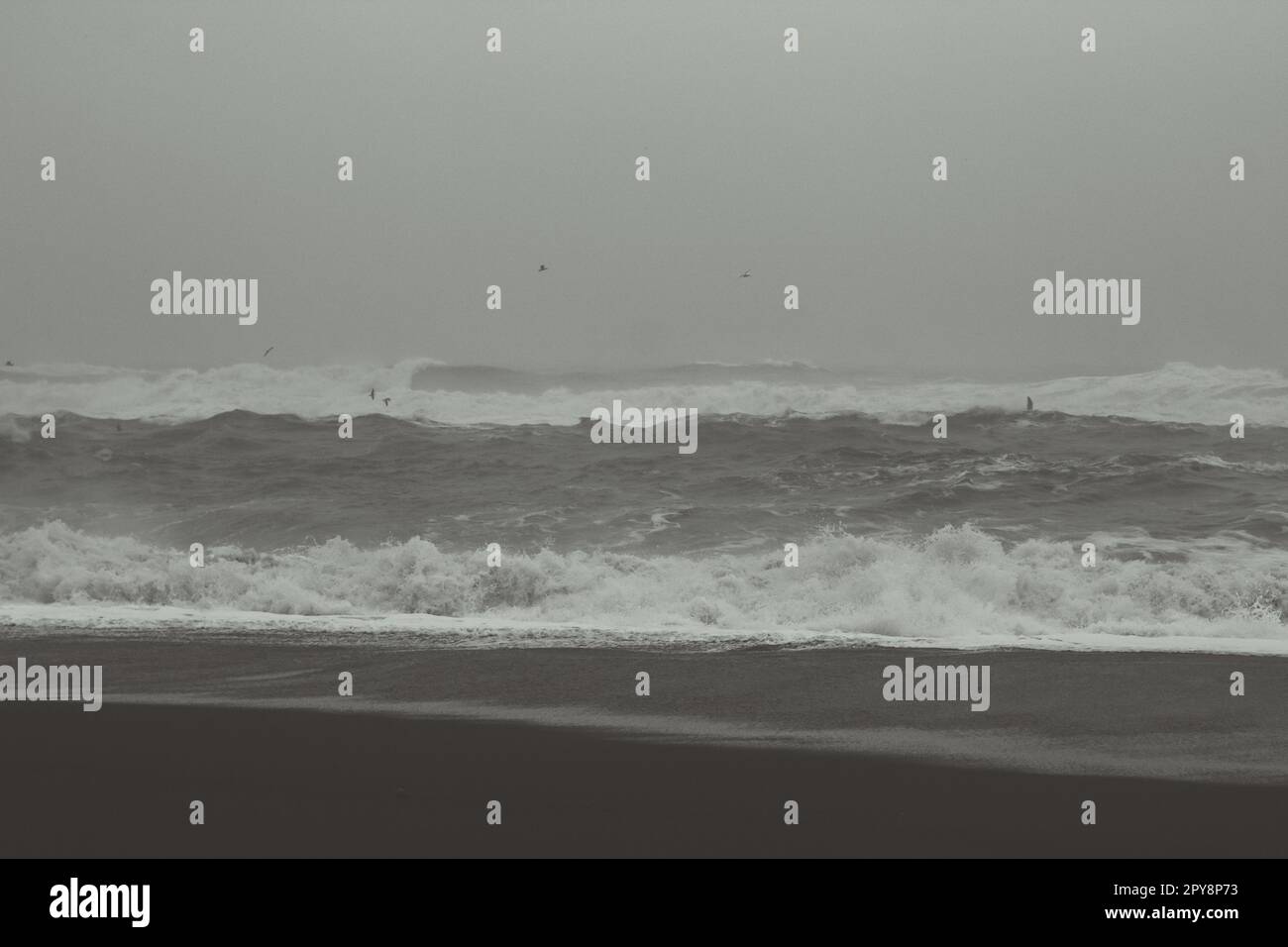 Rough ocean at stormy weather monochrome landscape photo Stock Photo ...