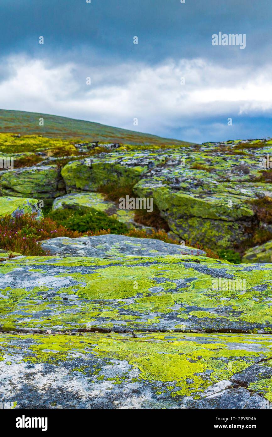 Gorge rocks cliff and waterfall river Rondane National Park Norway ...
