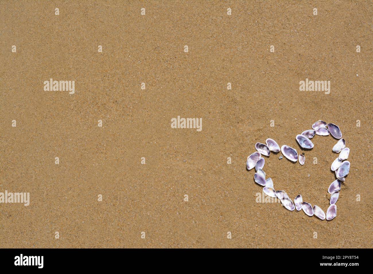 Heart made shells on beach hi-res stock photography and images - Alamy