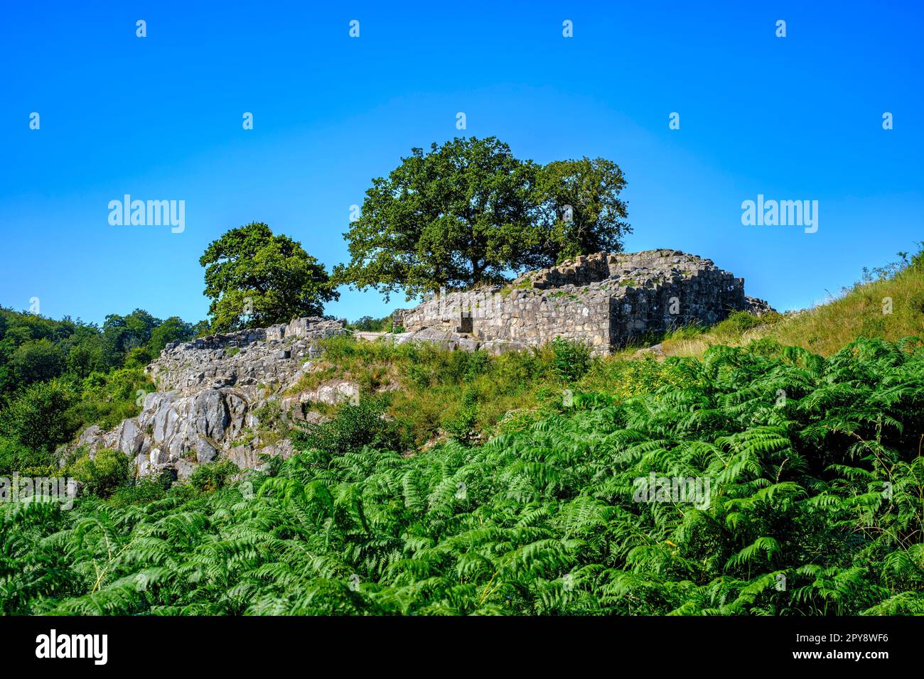 Lilleborg hi-res stock photography and images - Alamy