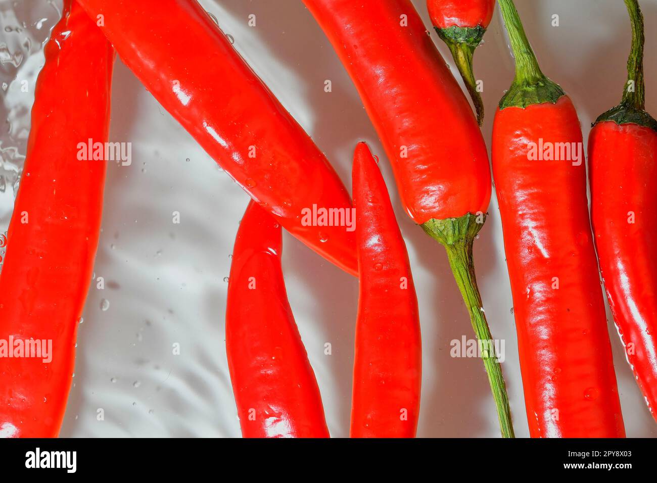 Red peppers in water on white background. Red chilli peppers close-up ...