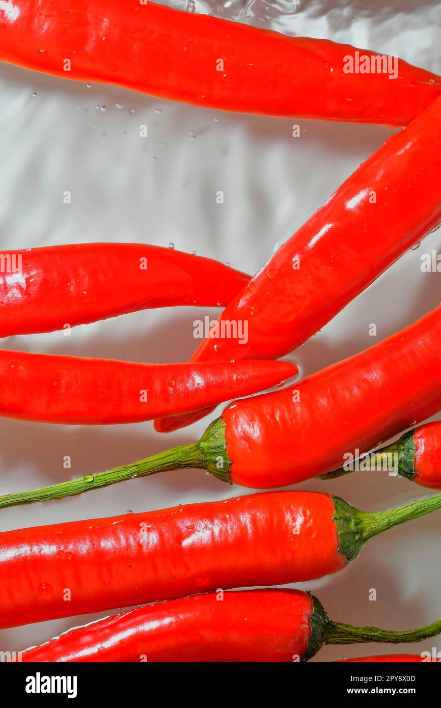 Red hot peppers in water splash on white background. Splashing water ...