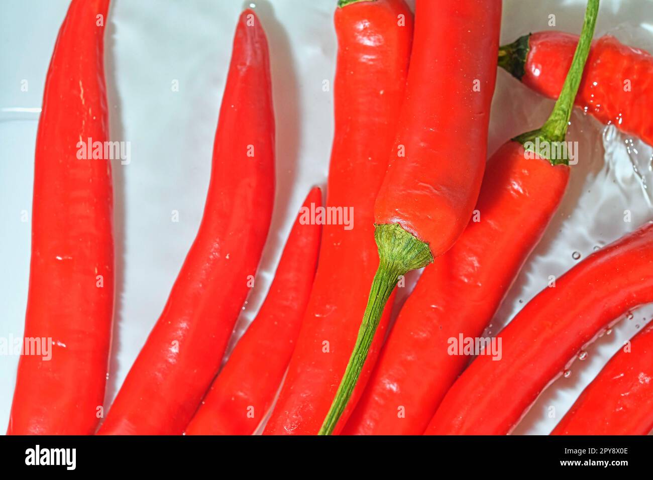 Close-up of hot red chilli peppers on white background. Hot red chilli ...