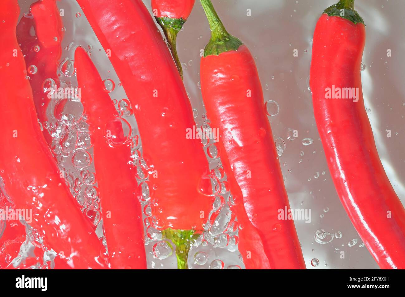 Red chilli peppers on white background. Hot chilli peppers close-up in ...