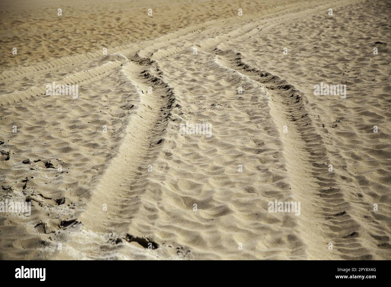 Tire tracks on the beach Stock Photo - Alamy