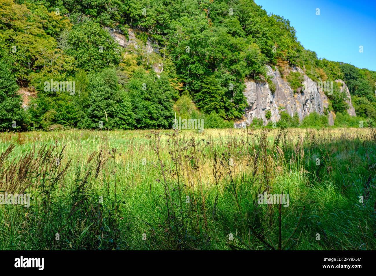Ekkodalen, English Echo Valley, known for its echo, in the forest area ...