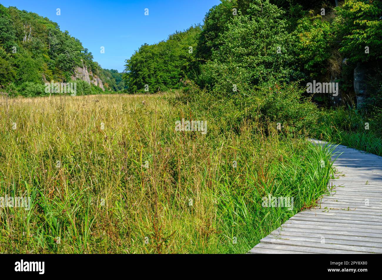 Ekkodalen, English Echo Valley, known for its echo, in the forest area ...