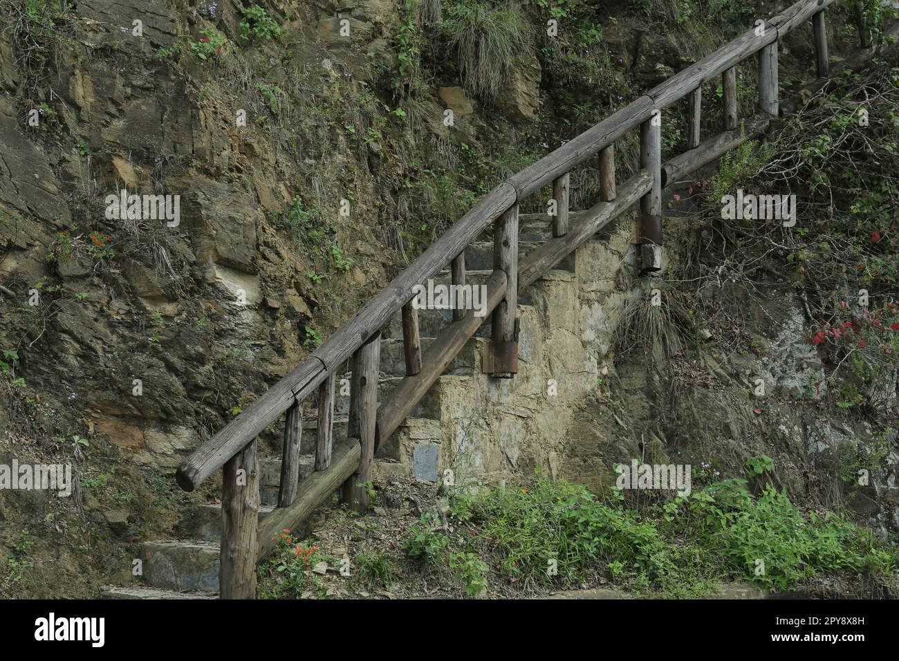 Wooden hand railings near stone stairs and plants outdoors Stock Photo ...