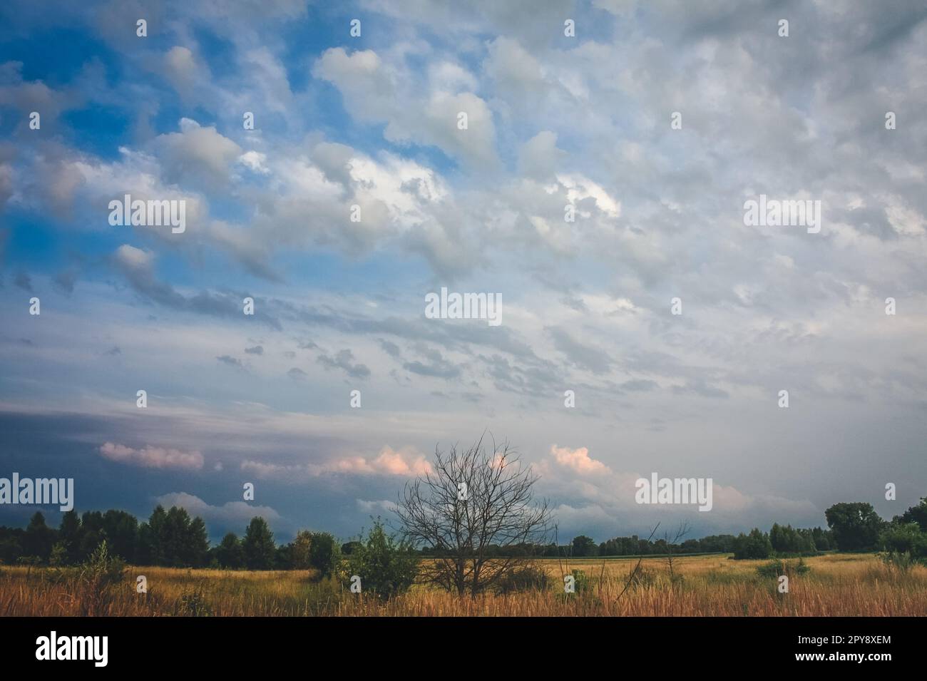 Wide blue sky above rural area landscape photo Stock Photo - Alamy