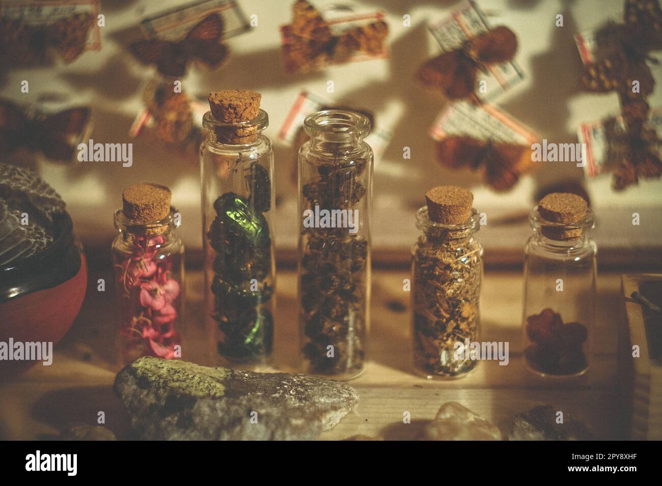 Close up collecting plants and insects hobby concept photo Stock Photo ...