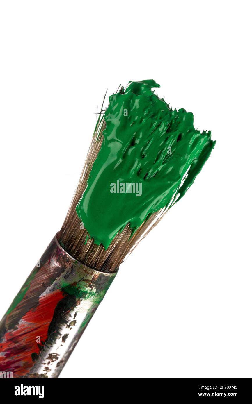 Brush with green paint isolated on white background Stock Photo - Alamy