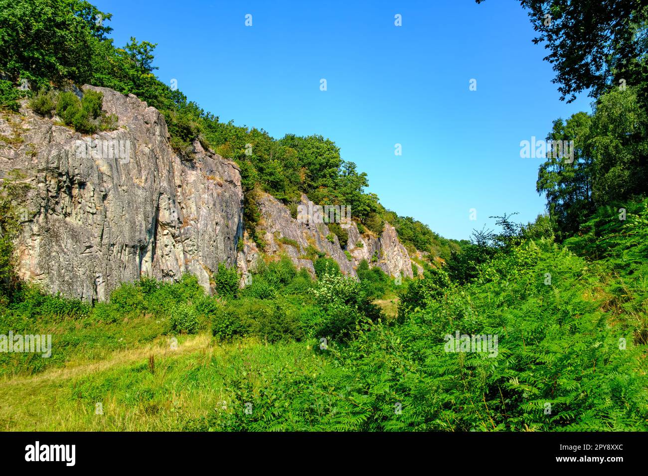 Ekkodalen, English Echo Valley, known for its echo, in the forest area ...