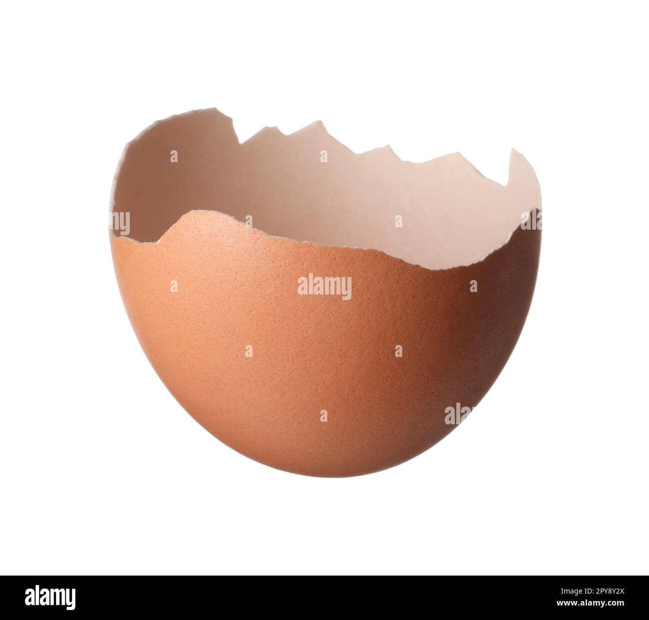 Shell of egg isolated on white background Stock Photo - Alamy