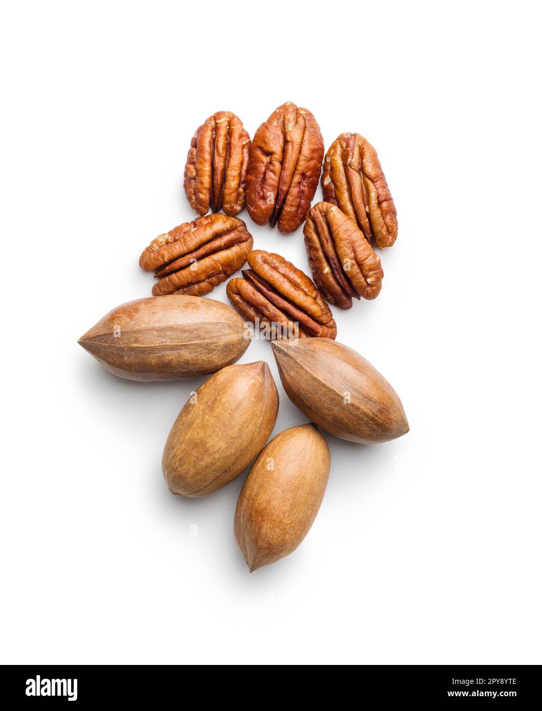 Peeled pecan nuts isolated on white background Stock Photo - Alamy
