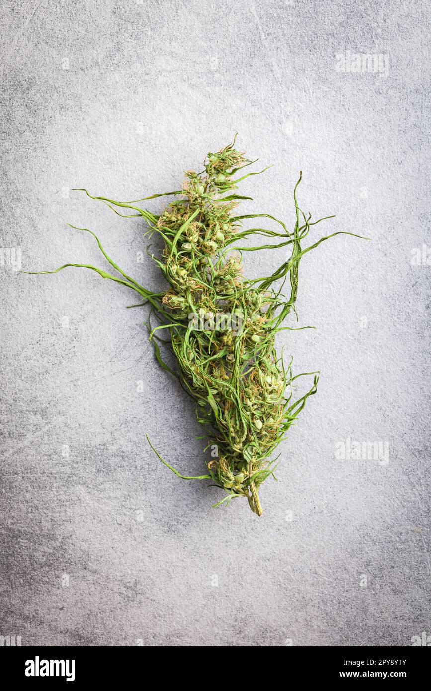 Dried cannabis buds. Dried marijuana on gray table. Top view Stock ...