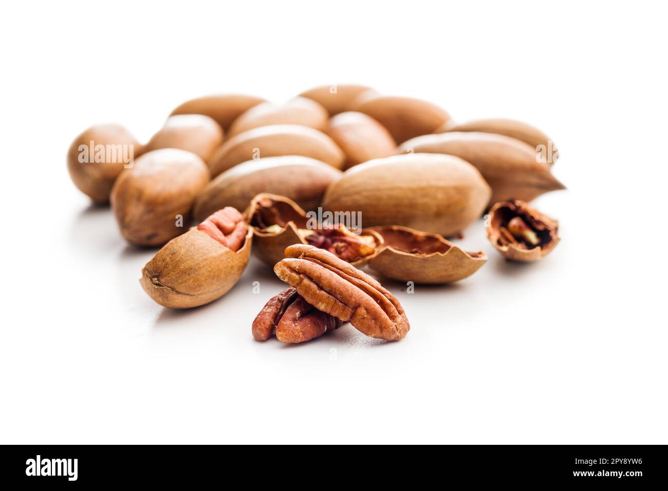 Peeled pecan nuts isolated on white background Stock Photo - Alamy