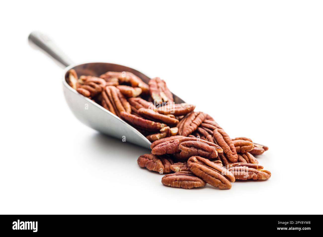 Peeled pecan nuts in scoop isolated on white background Stock Photo - Alamy