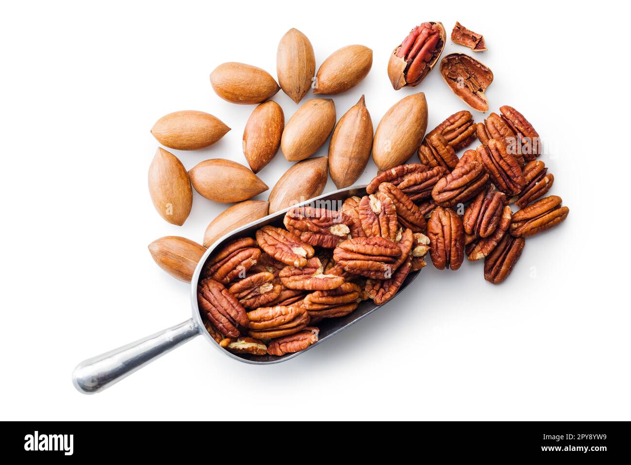 Peeled pecan nuts in scoop isolated on white background Stock Photo - Alamy