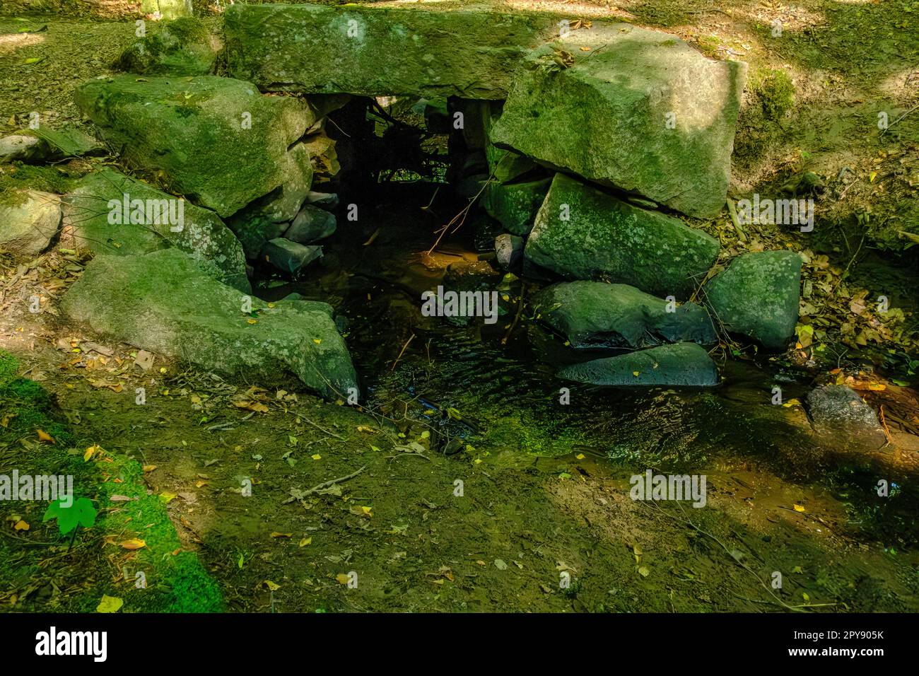 Stone bridge over a small watercourse in the forest area of Almindingen ...