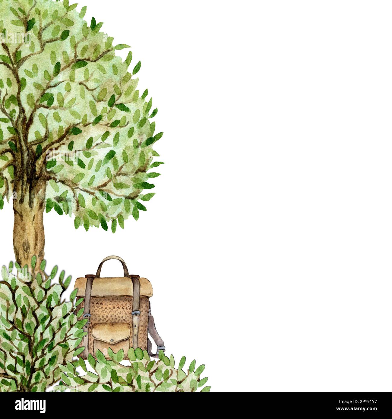 Composition from a backpack on the background of forest. Watercolor ...