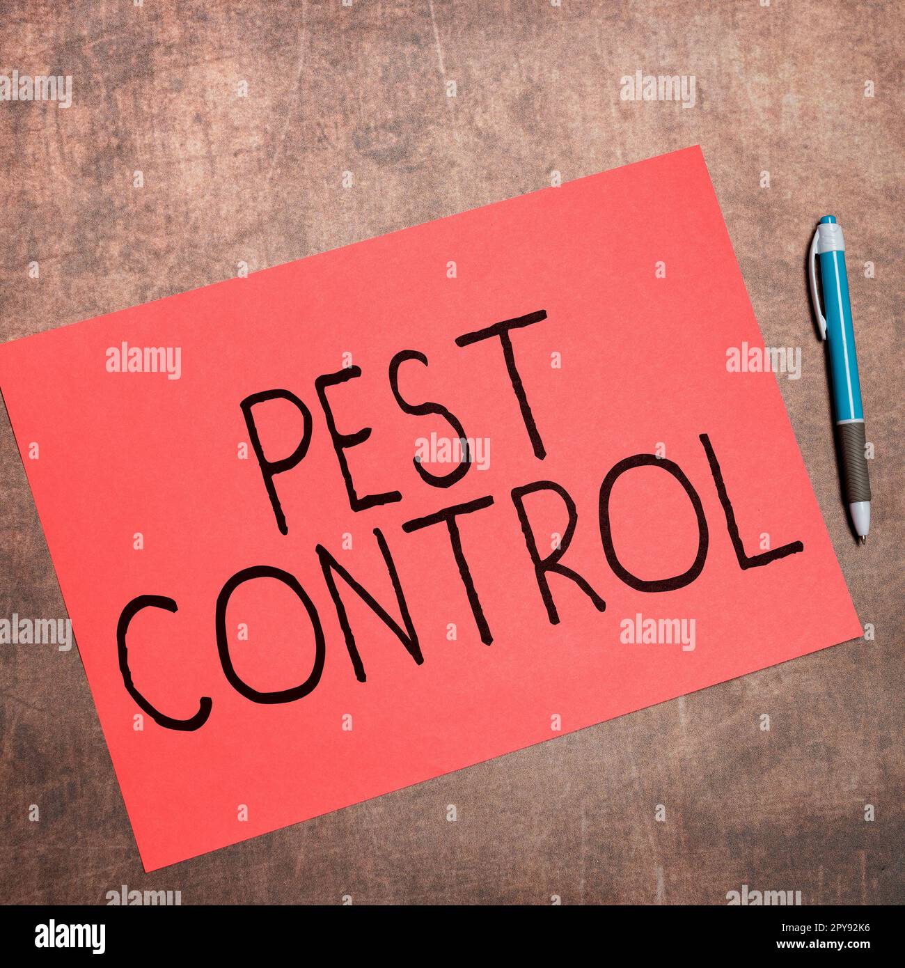 Writing displaying text Pest Control. Business concept Killing ...