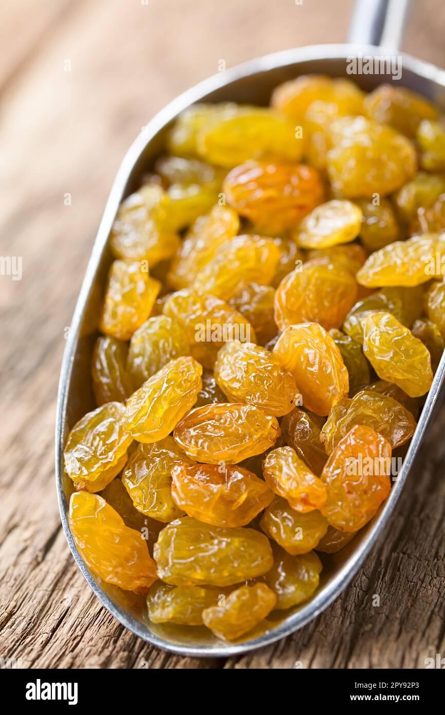 Golden Seedless Sultana Raisins in Metal Scoop Stock Photo - Alamy