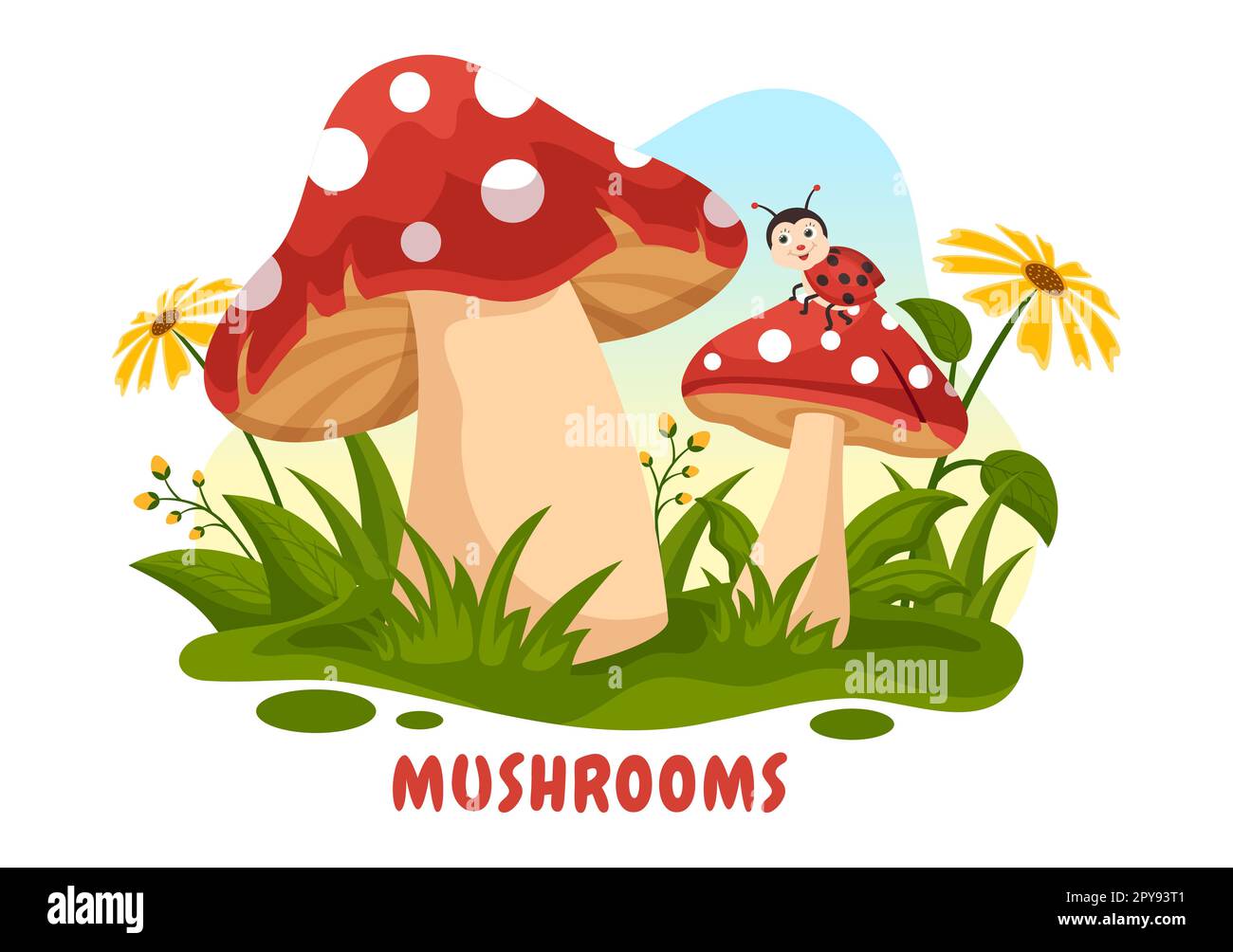 Mushrooms Illustration with Different Mushroom, Grass and Insects for ...