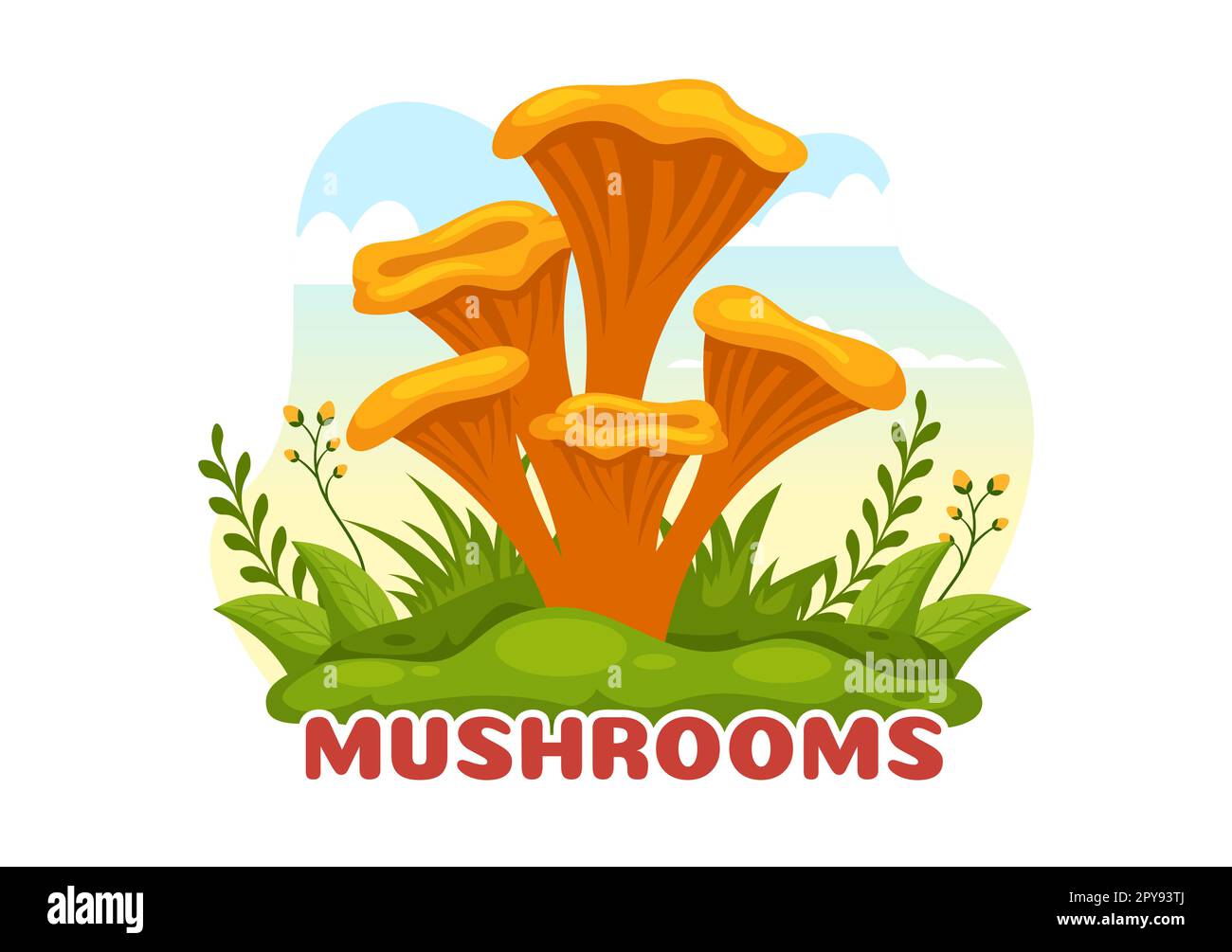 Mushrooms Illustration with Different Mushroom, Grass and Insects for ...