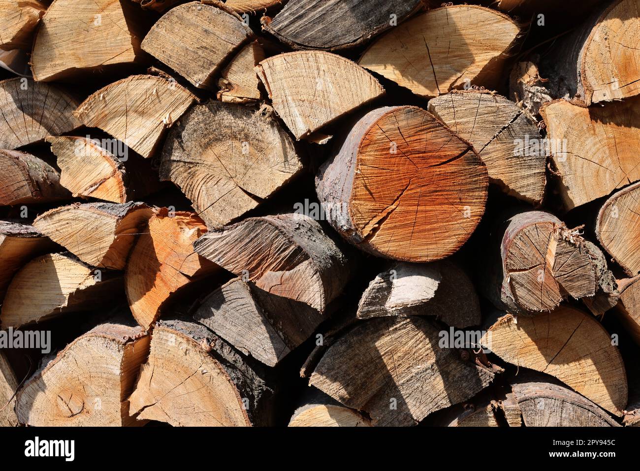 Oak logs sawn firewood hi-res stock photography and images - Alamy