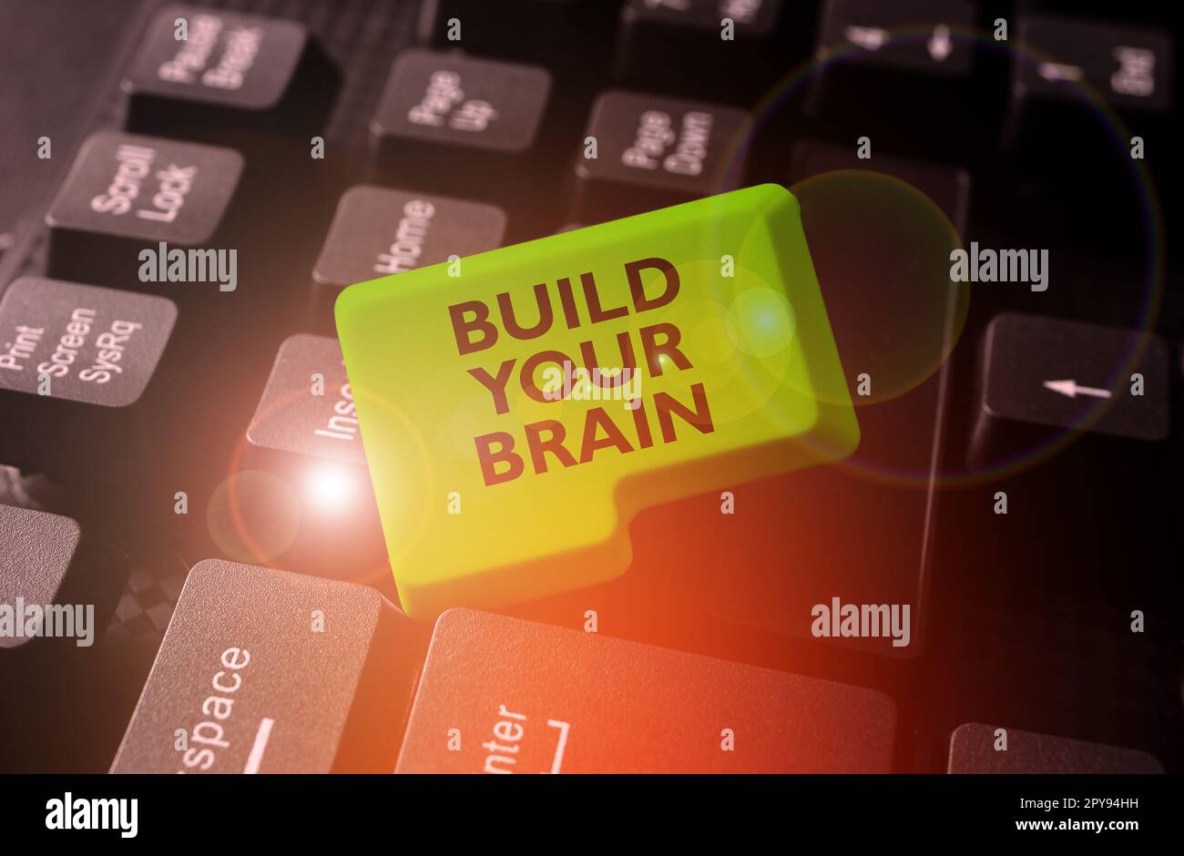 Inspiration showing sign Build Your Brain. Business overview mental ...