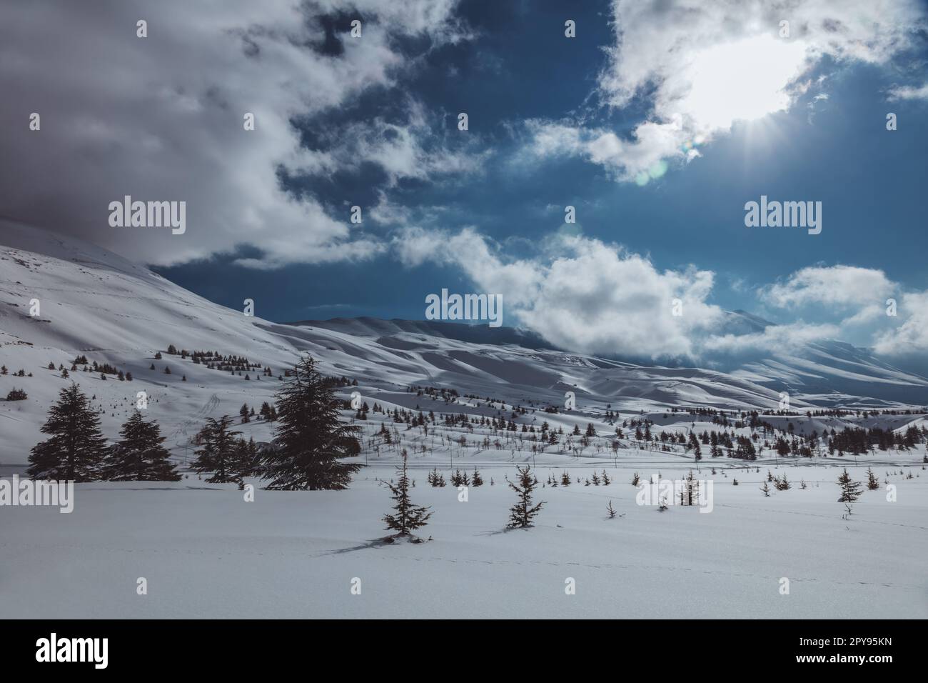 Beautiful Cold Snow Weather, Winter Landscape Stock Photo - Alamy