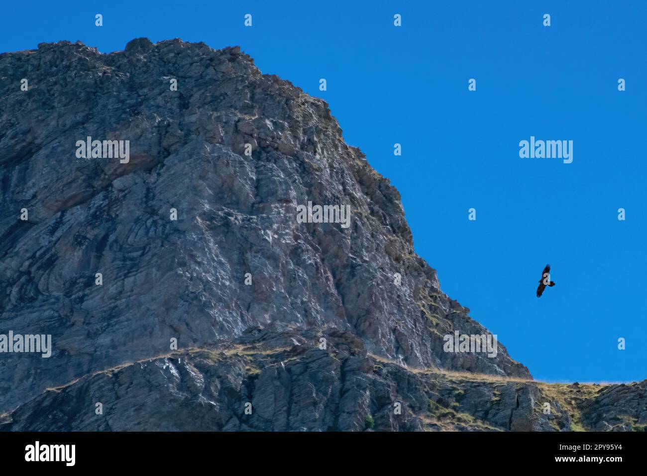 Pyrenees in spring hi-res stock photography and images - Alamy