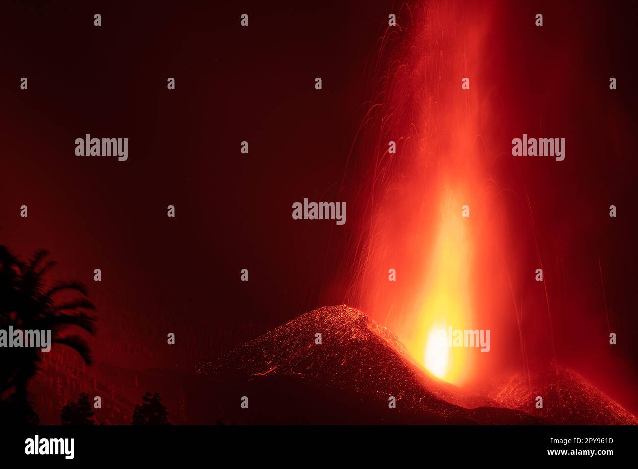 eruption of the volcano on the island of La Palma Stock Photo - Alamy