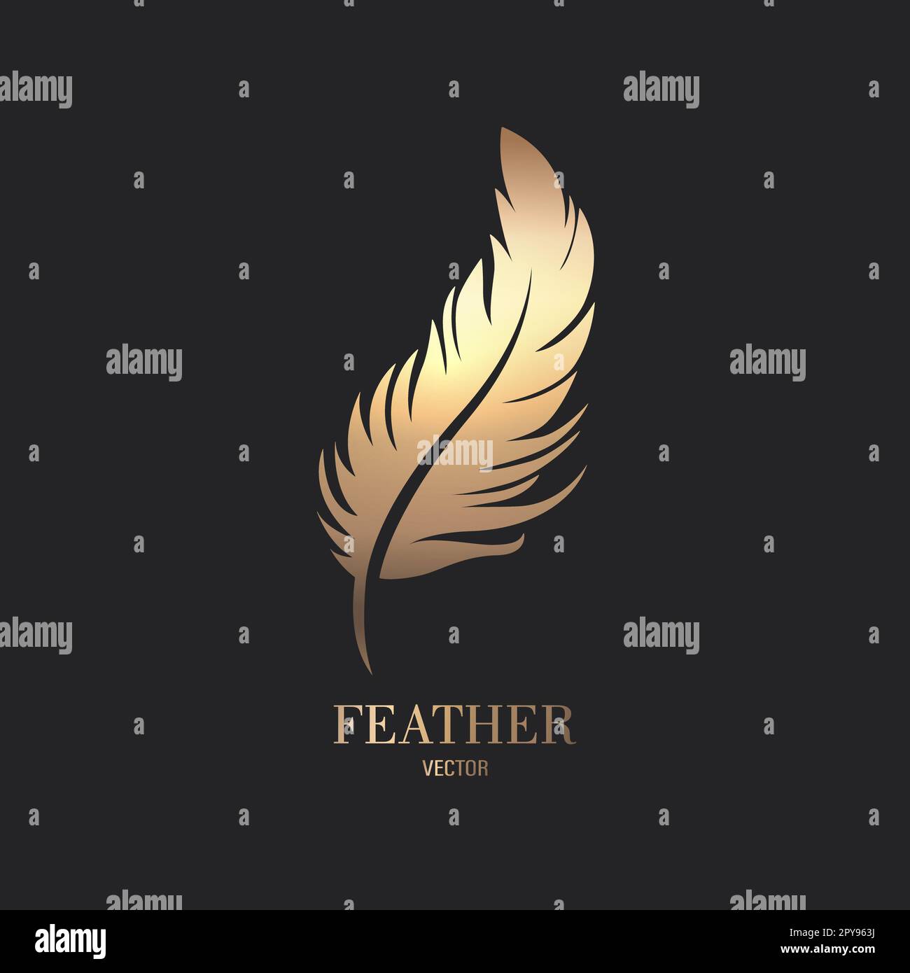 Vector Fluffy Golden Color Feather Logo Icon, Silhouette Feather ...
