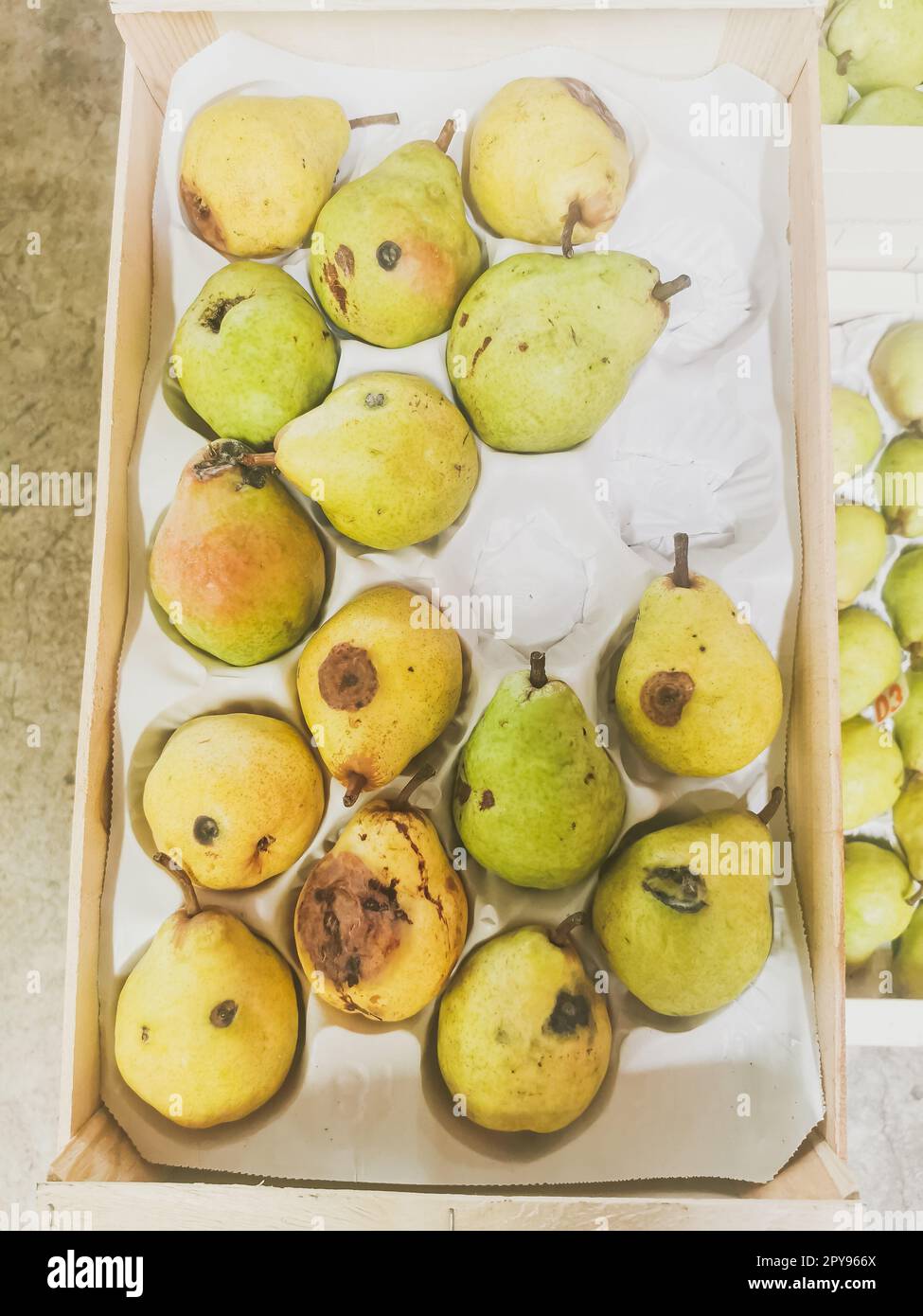 Rotten and bruised william's pears in a wooden case Stock Photo - Alamy