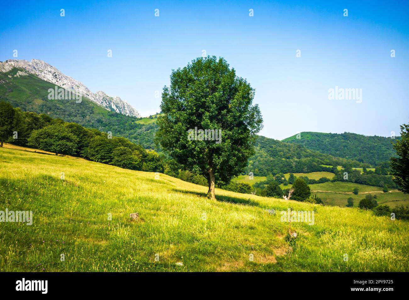 Mountains spain spring asturias hi-res stock photography and images - Alamy