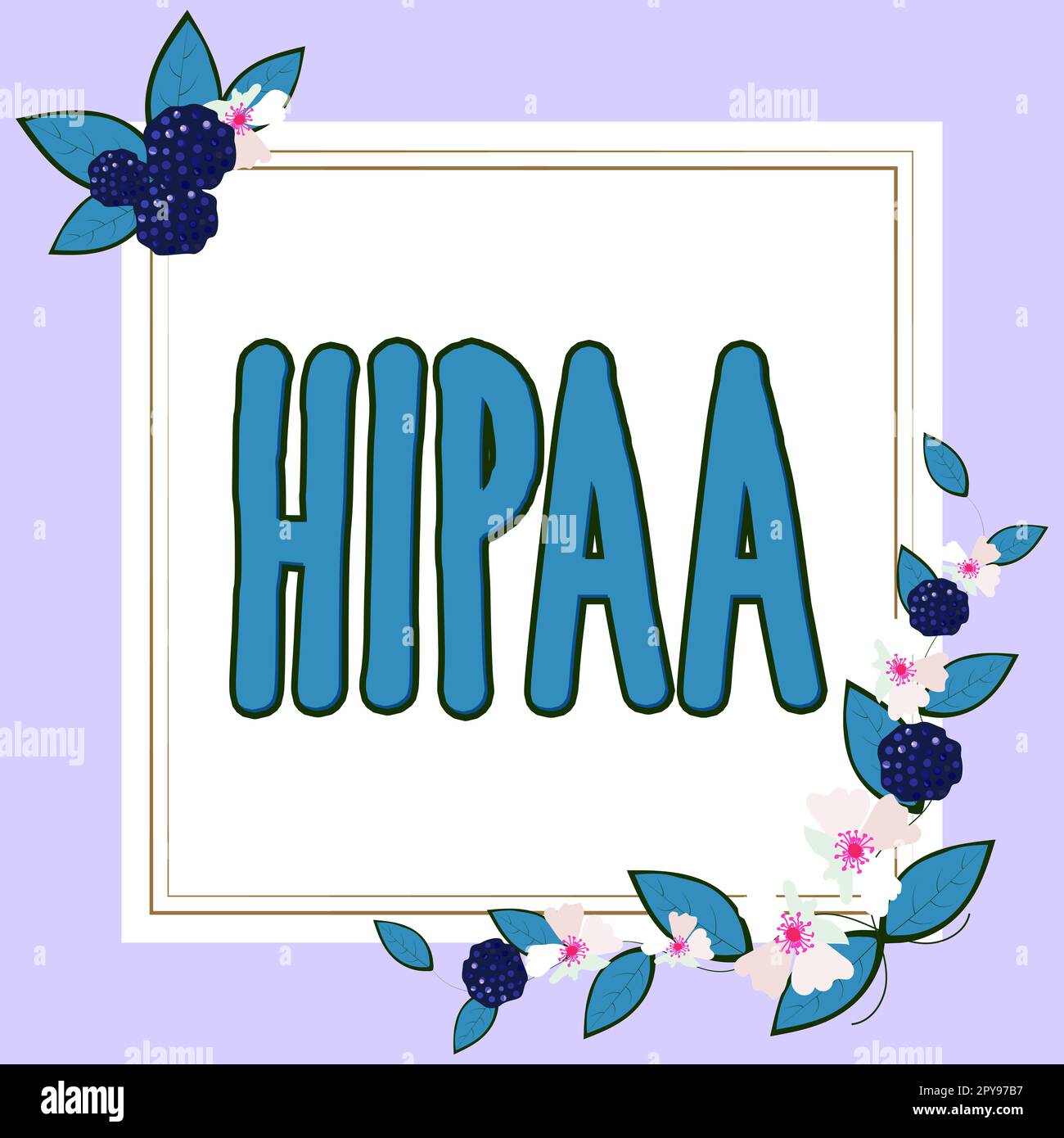 Text sign showing Hipaa. Business overview Acronym stands for Health ...