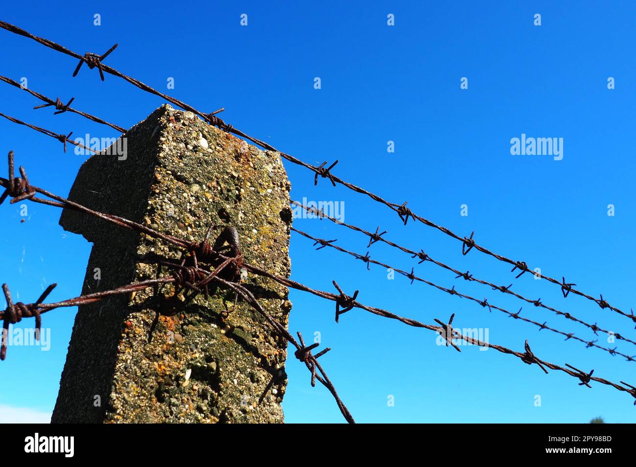 Barbed wire, double wire, metal tape with sharp spikes for barriers ...