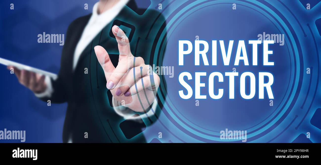 Conceptual display Private Sector. Business overview a part of an ...