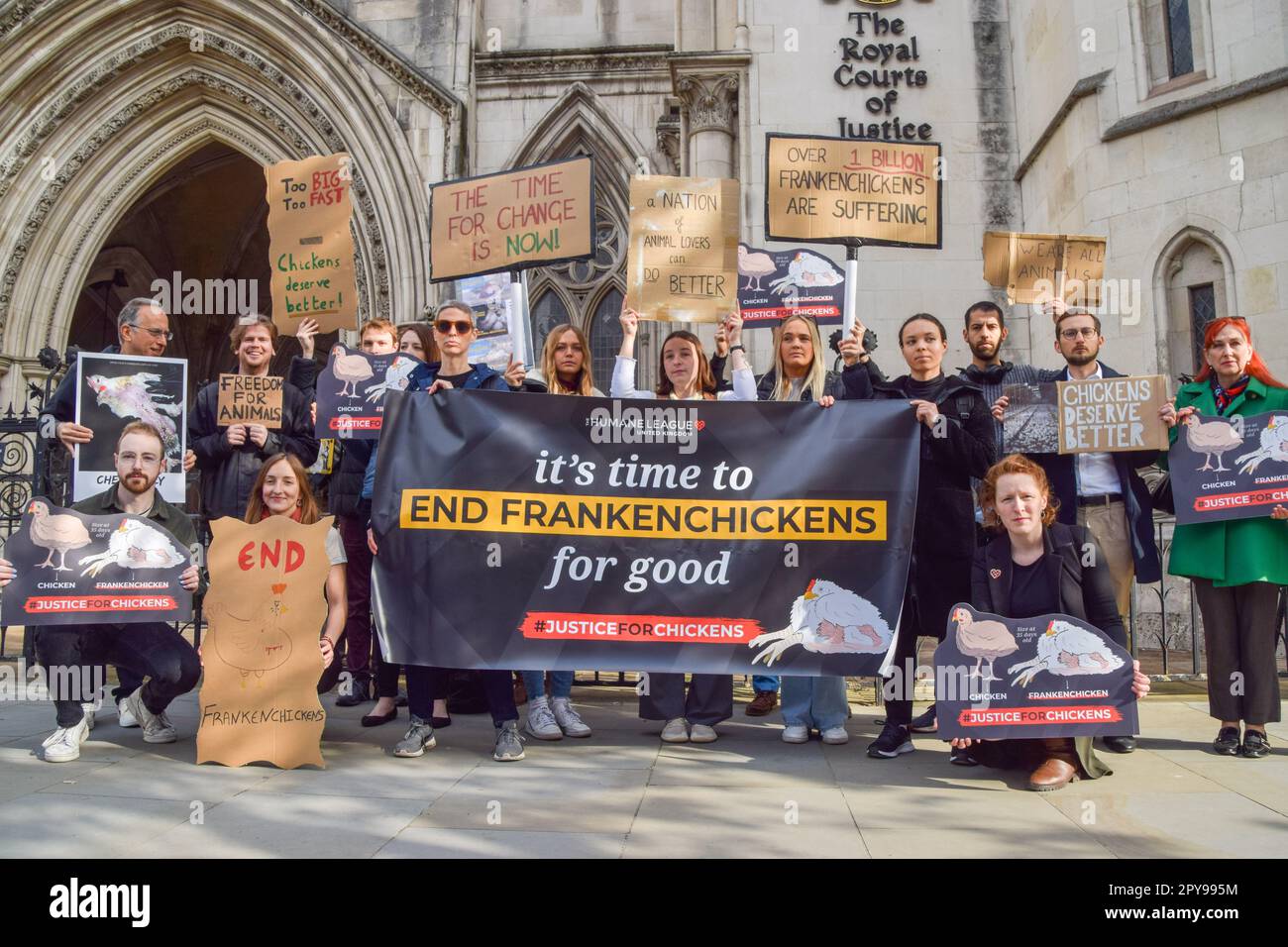 Frankenchickens hi-res stock photography and images - Alamy