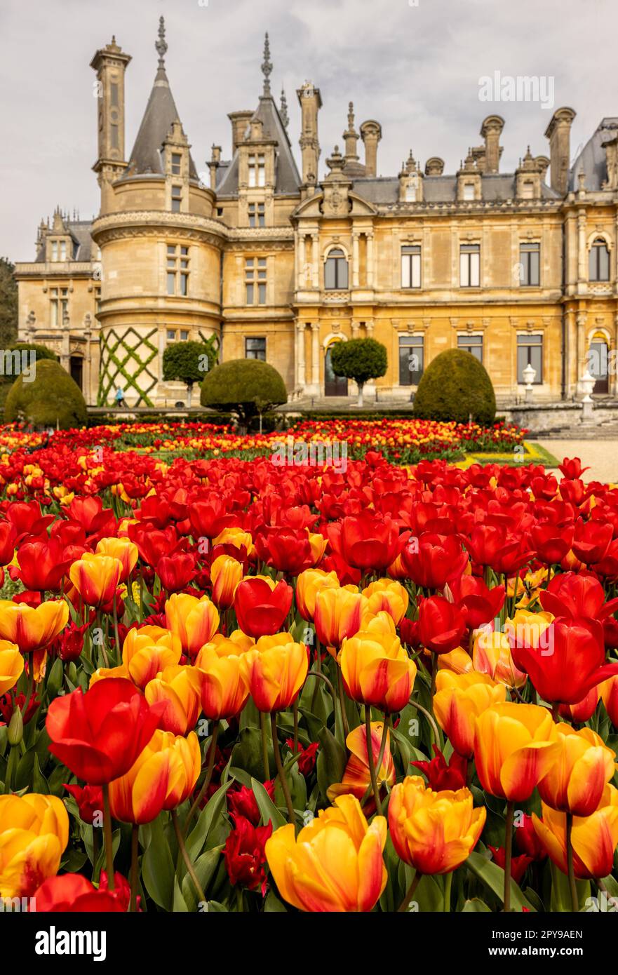 A majestic architectural structure surrounded by a vibrant garden of ...