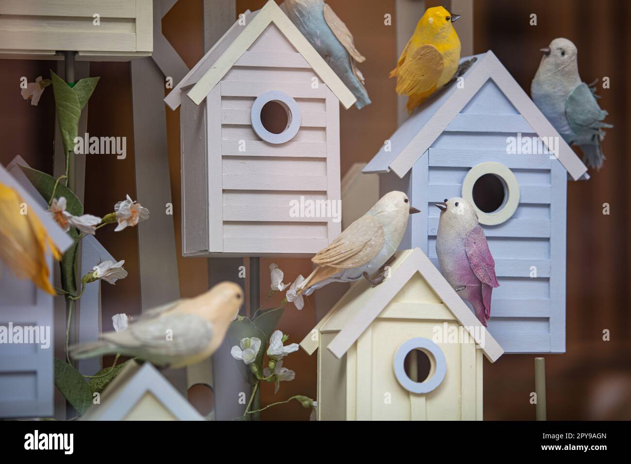 Starling Nest Boxes and birds decoration for design purpose Stock Photo ...