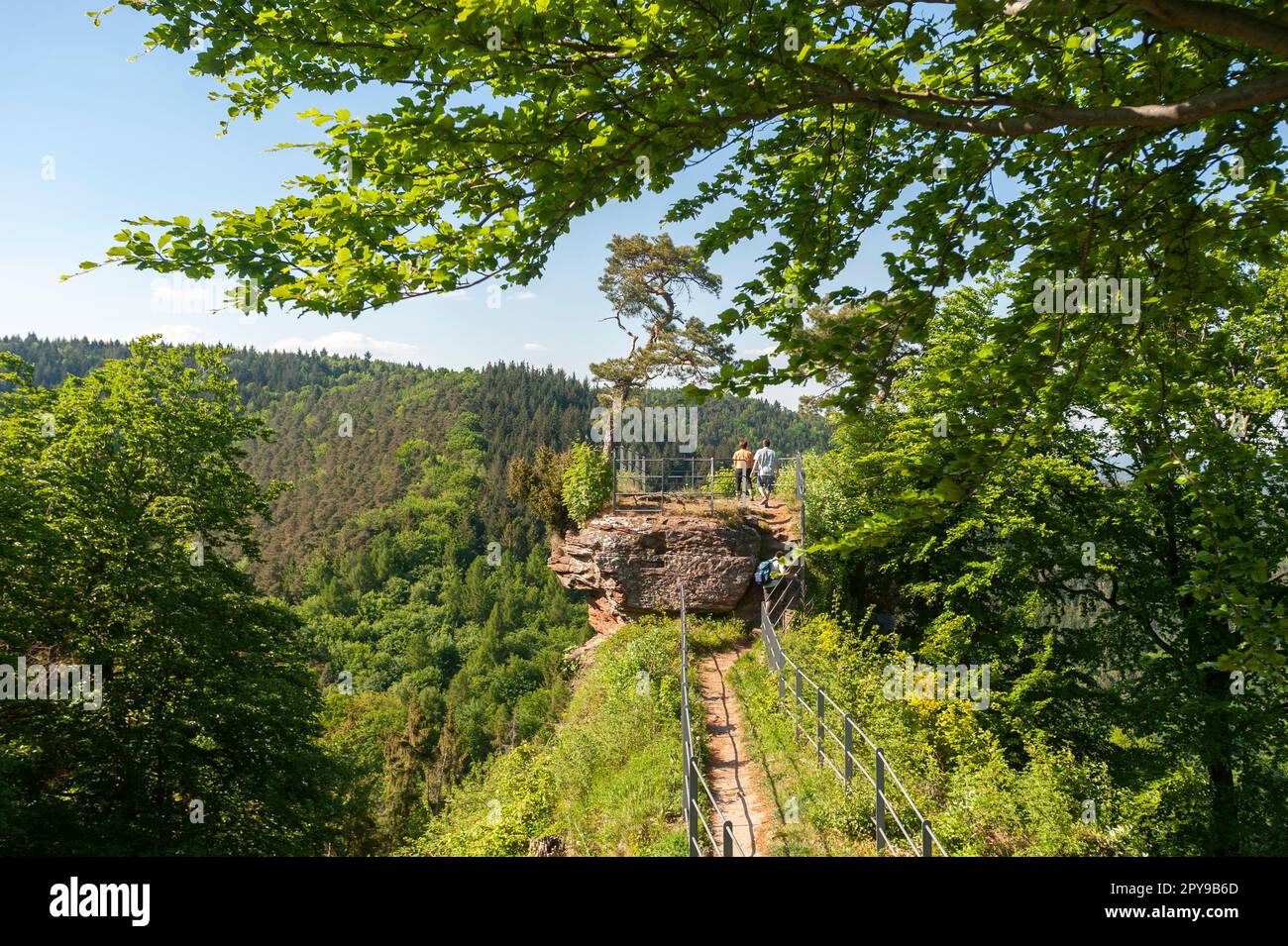 Viewing plateau of the Guttenberg castle ruins, Oberotterbach ...