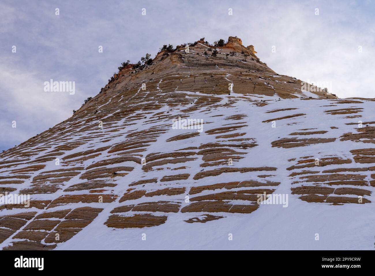 The Checkerboard Mesa in Zion National Park Stock Photo - Alamy